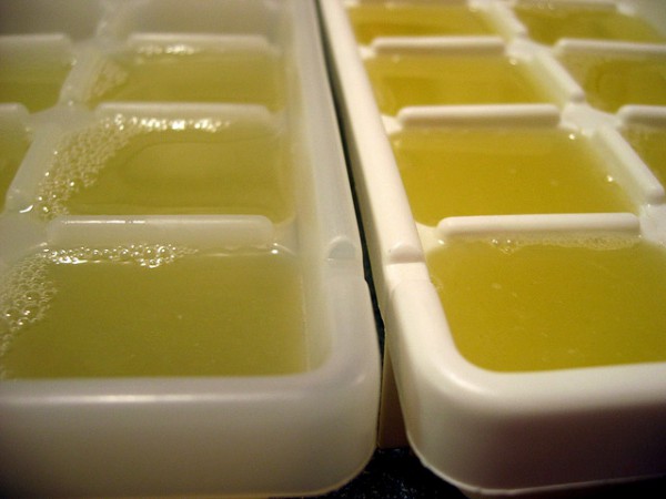 Frozen Food Cubes Make Life Easier · Faith Middleton's Food Schmooze