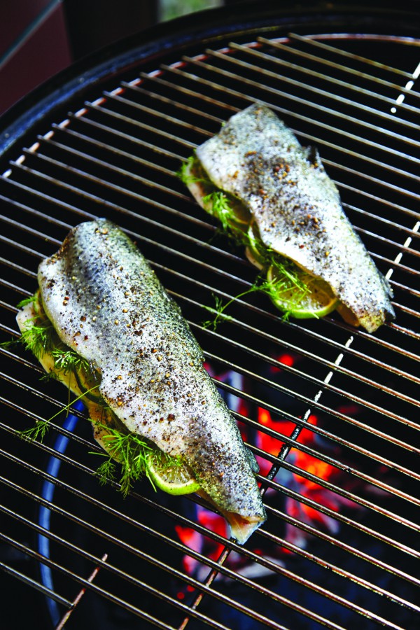 Best Ever Easy Grilled Trout · Faith Middleton's Food Schmooze